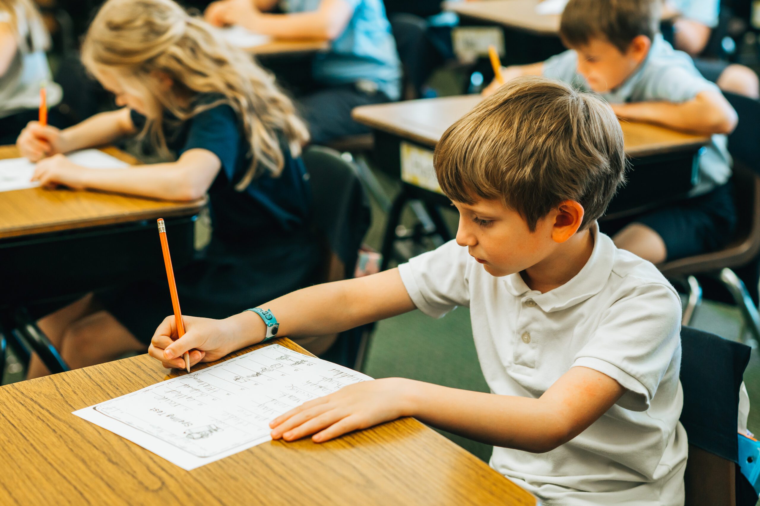 Elementary School – Assumption of the Blessed Virgin Mary School